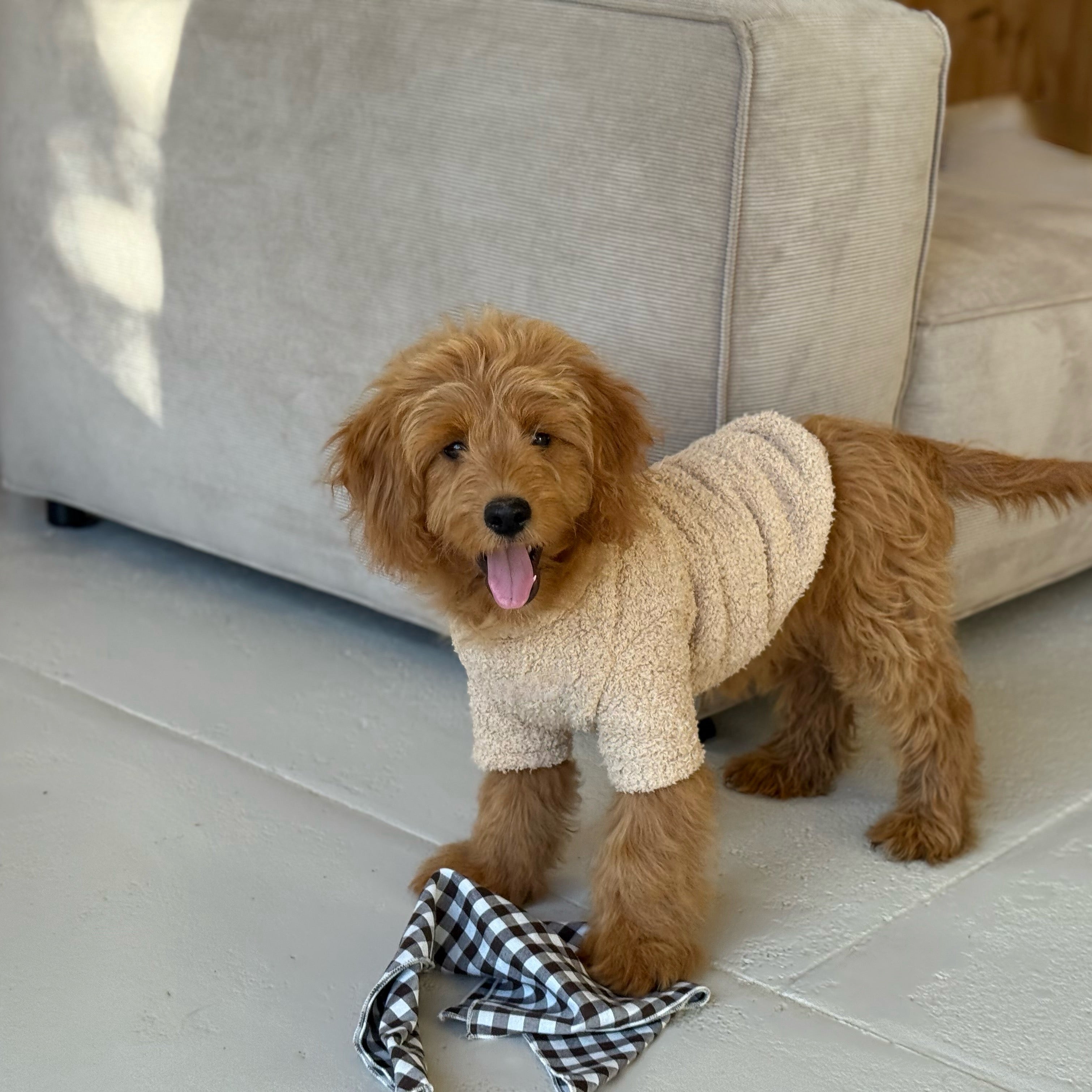 Lun plysfleece trøje – ByDoodleDog.dk